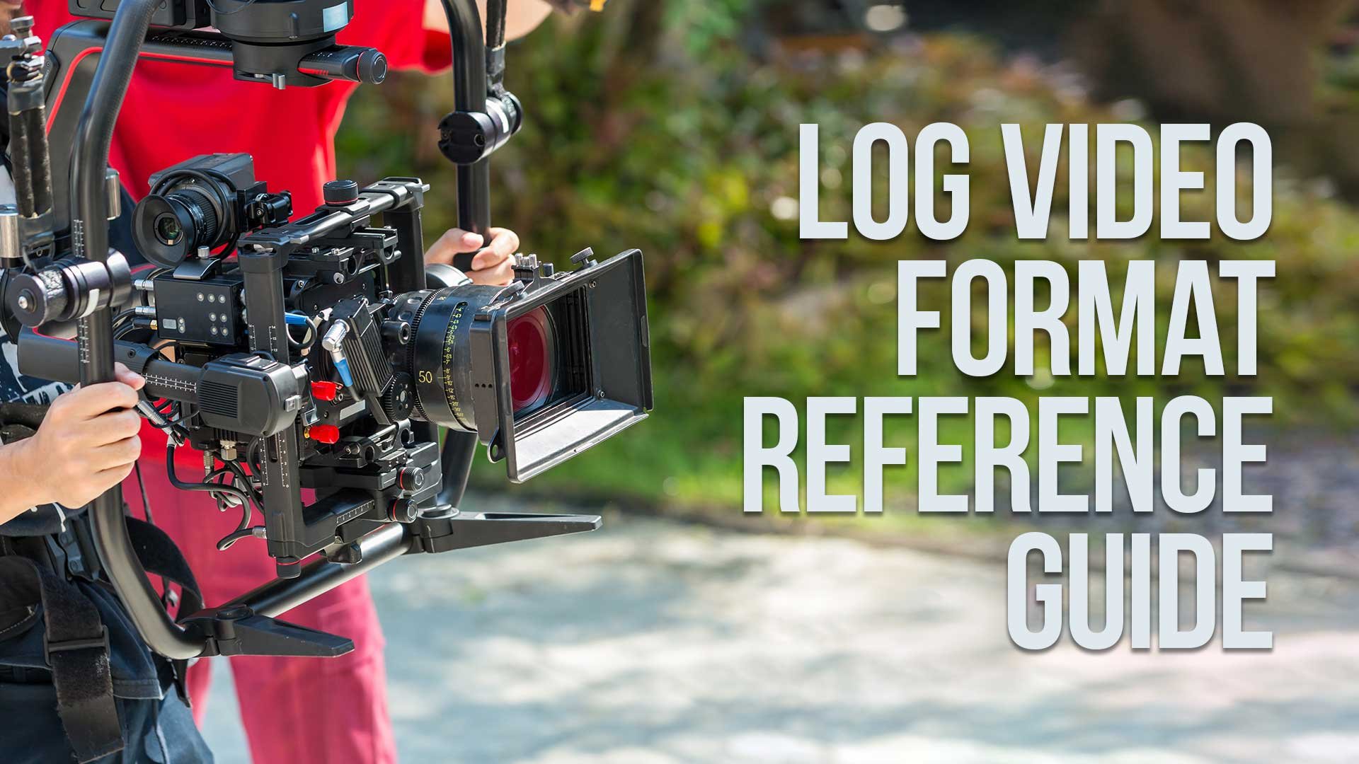 Log Video Format Reference Guide for Editors